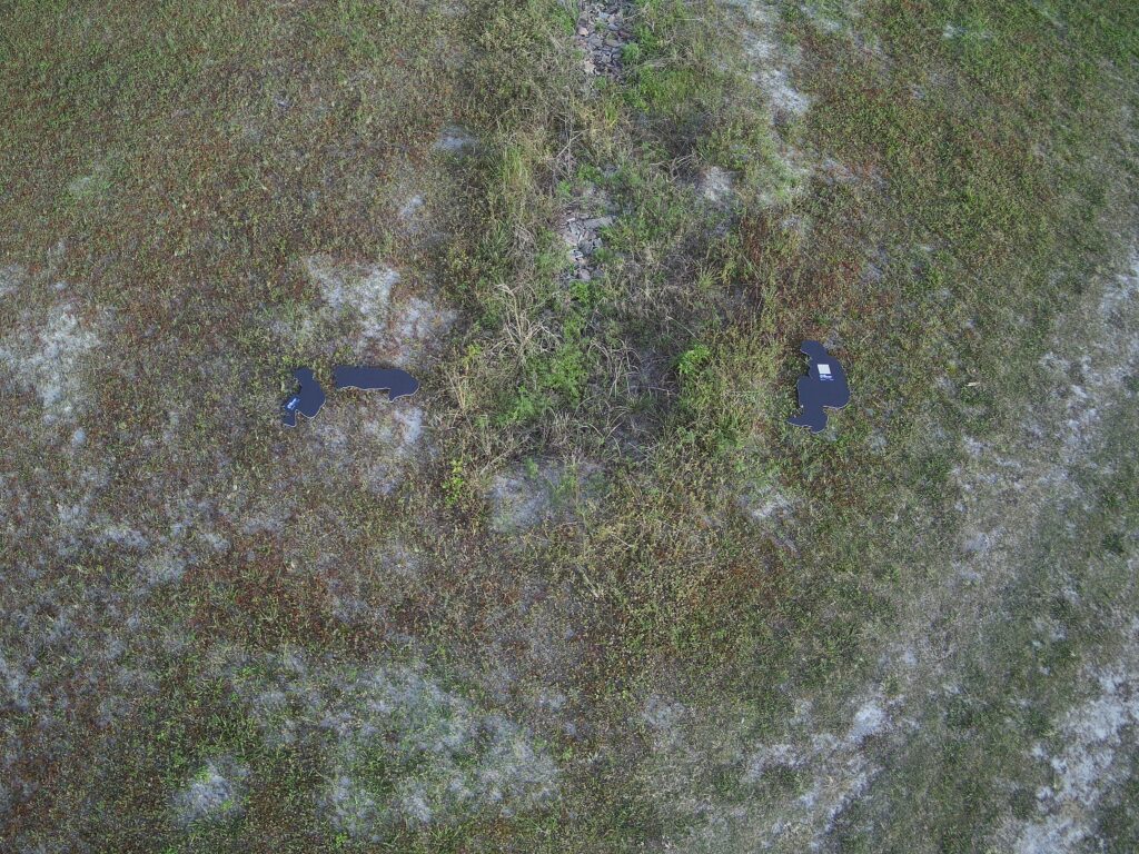 K9 2D Dummy – 2D-Dummies