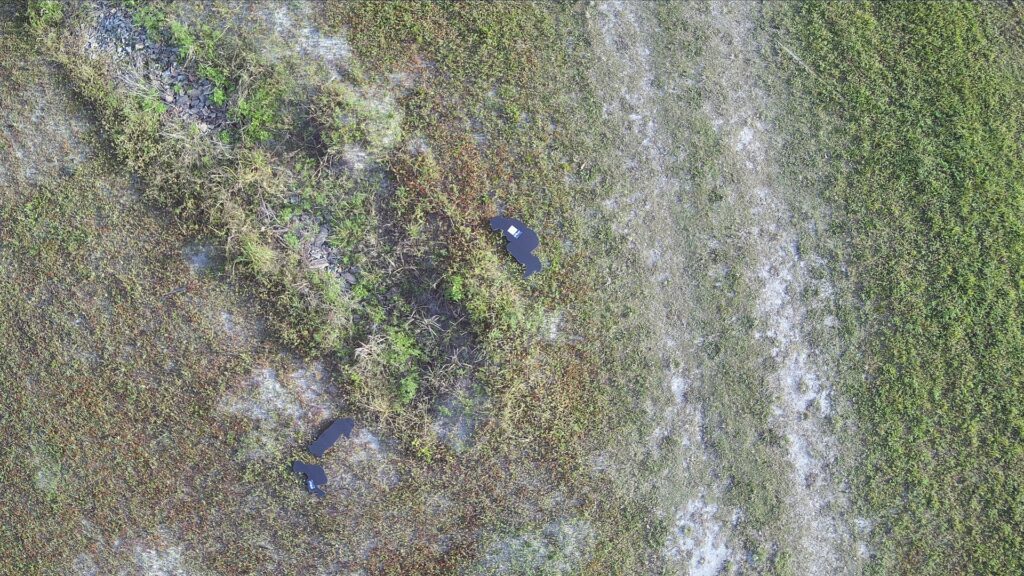 K9 2D Dummy – 2D-Dummies