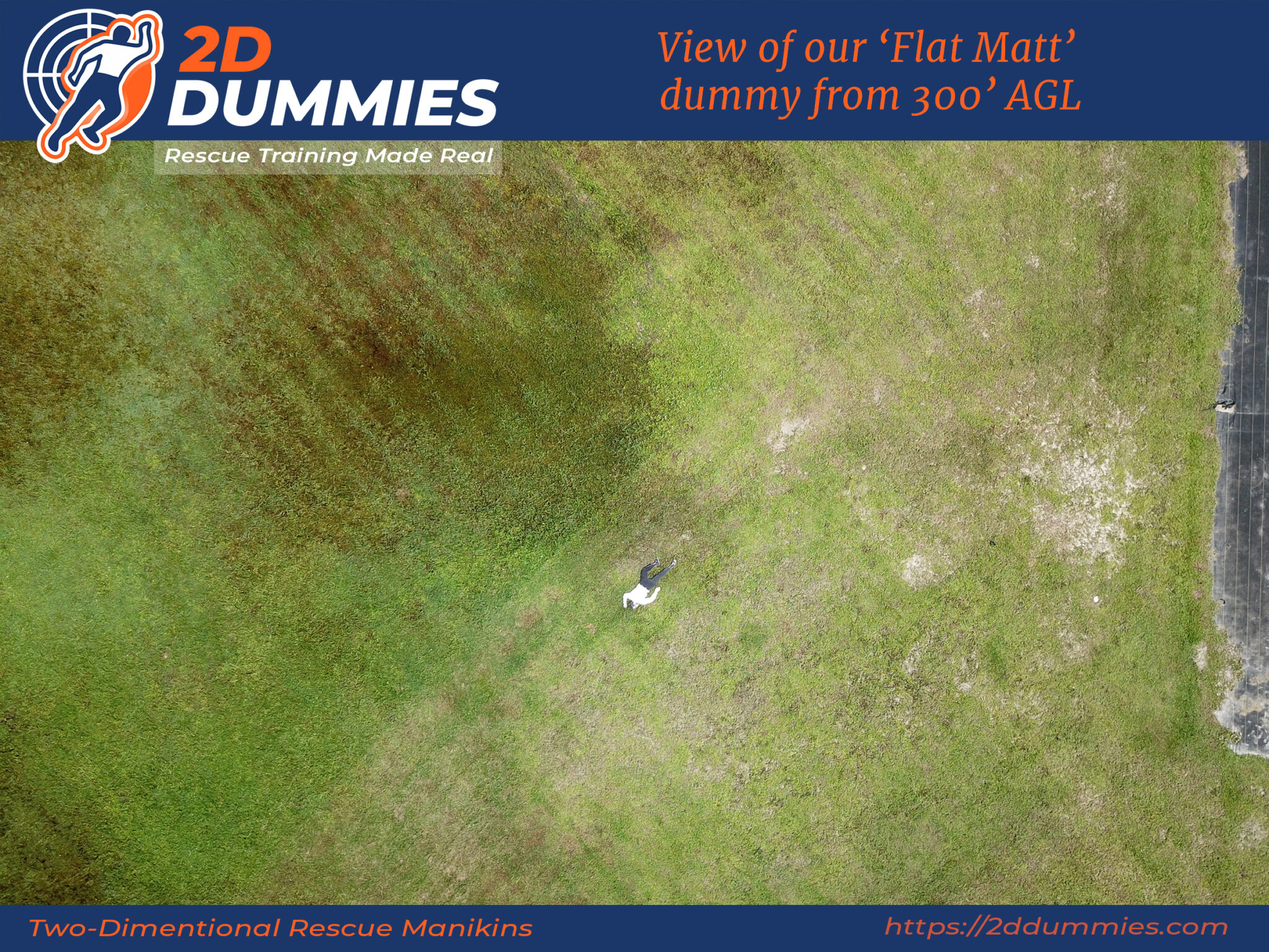 Flat Matt – Our First 2D DUMMY – 2D-Dummies